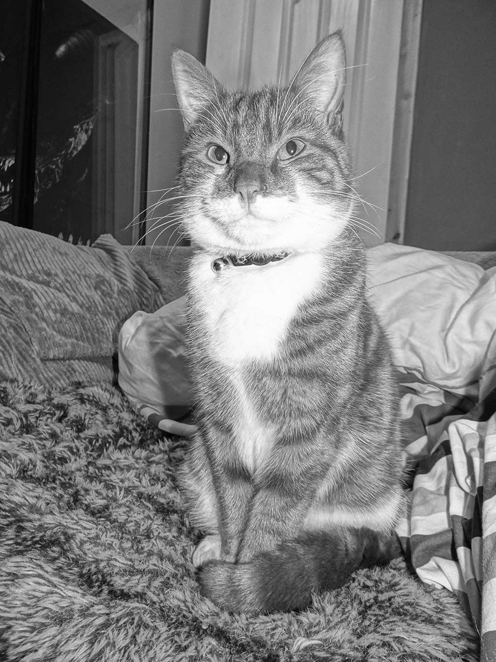 About Us – Little Ripley