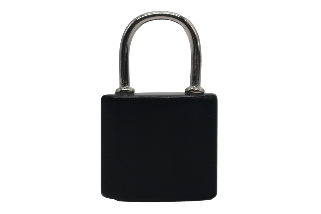 Obsidian Crystal Padlock Pendant Necklace - Little Ripley